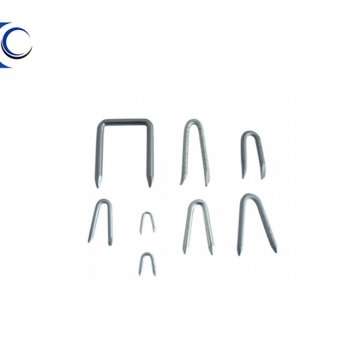U Shaped Nails | Heavy-Duty U Nails for Tough Construction Projects